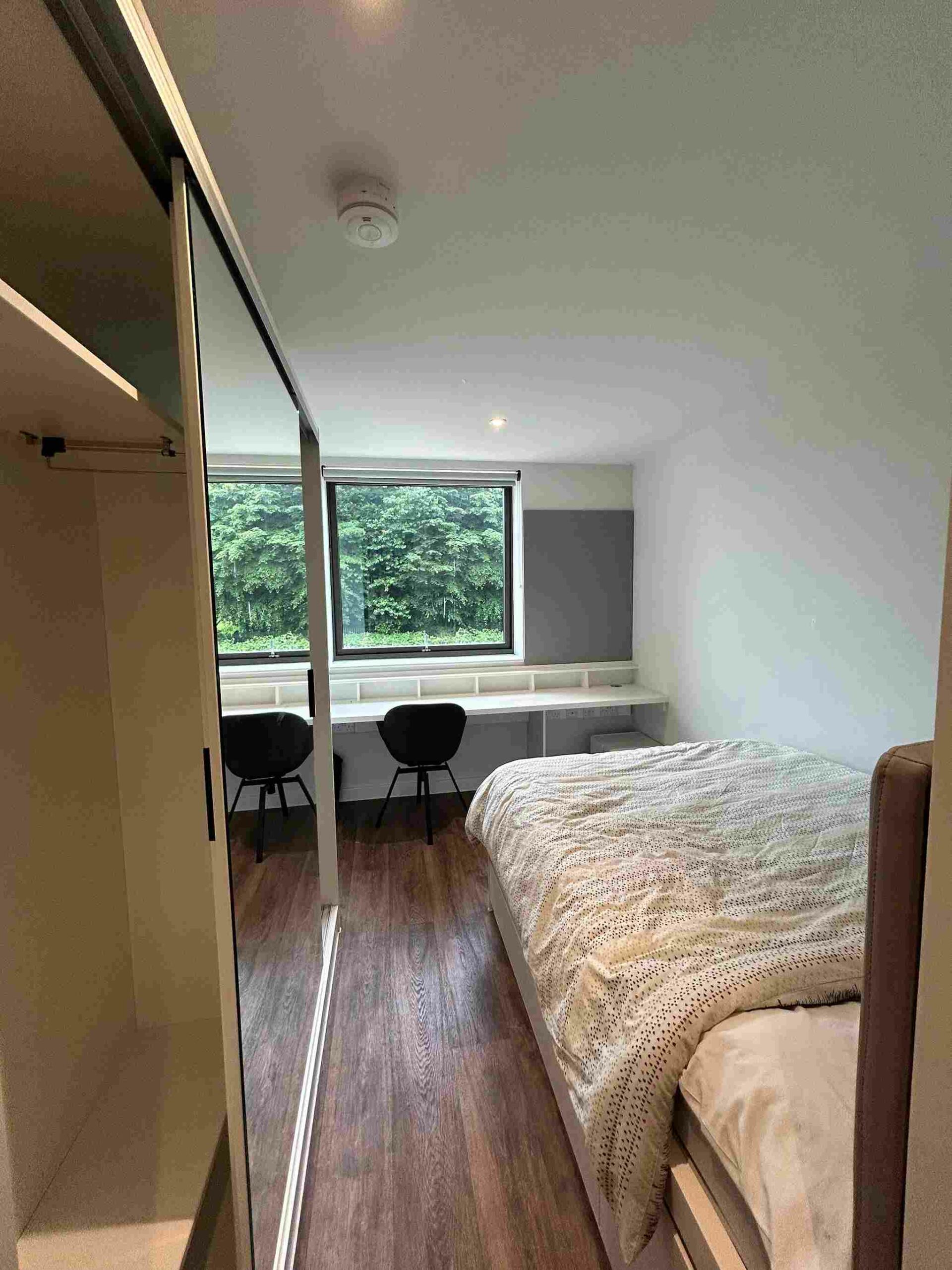 Oxford International College: Reviews, Rankings, Fees, And More