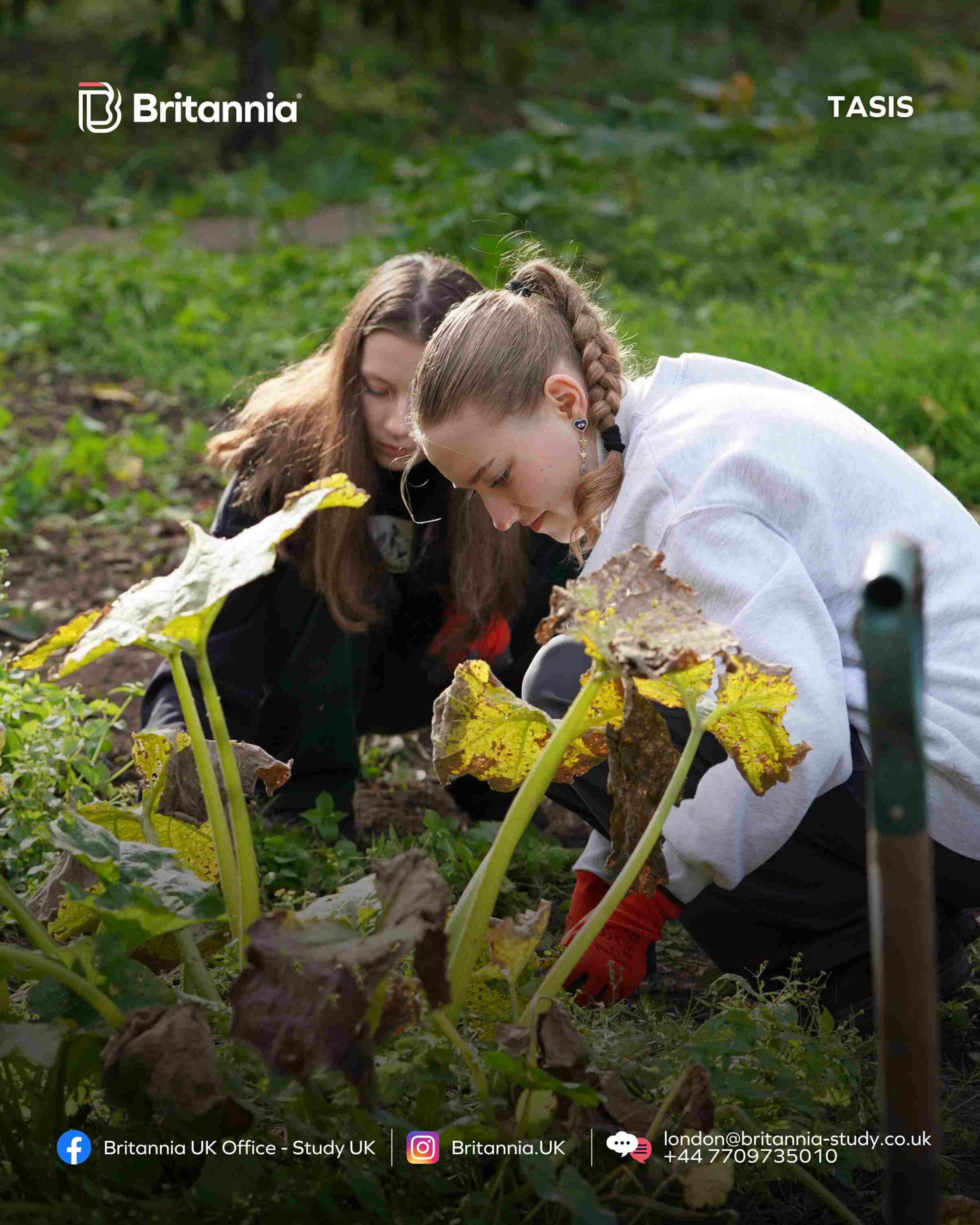 TASIS England: A Comprehensive Review