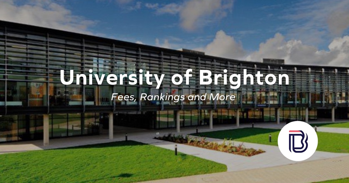 University of Brighton Review: A Complete Guide