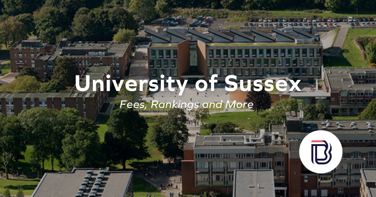 University of Sussex Review: A Complete Guide