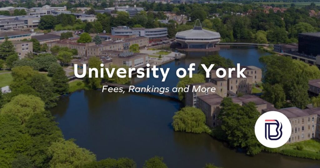University of York Review: A Comprehensive Guide