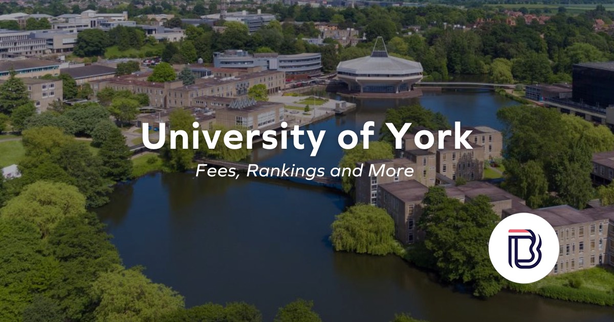 University of York Review: A Comprehensive Guide